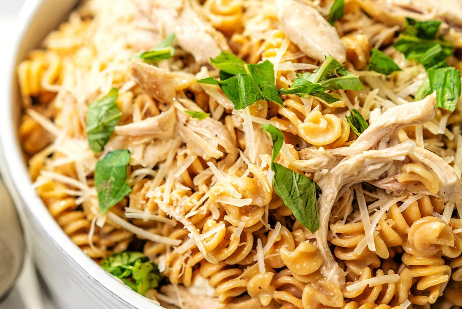 Gluten-Free Fusilli with Chicken and Garlic Alfredo Sauce – Primal Kitchen